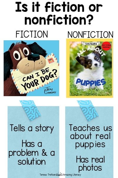 Fiction Vs. Nonfiction: 5 Exciting Activities Your Students Will Love ...