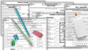 Three Hens And A Peacock Book Activities | Amazing Literacy